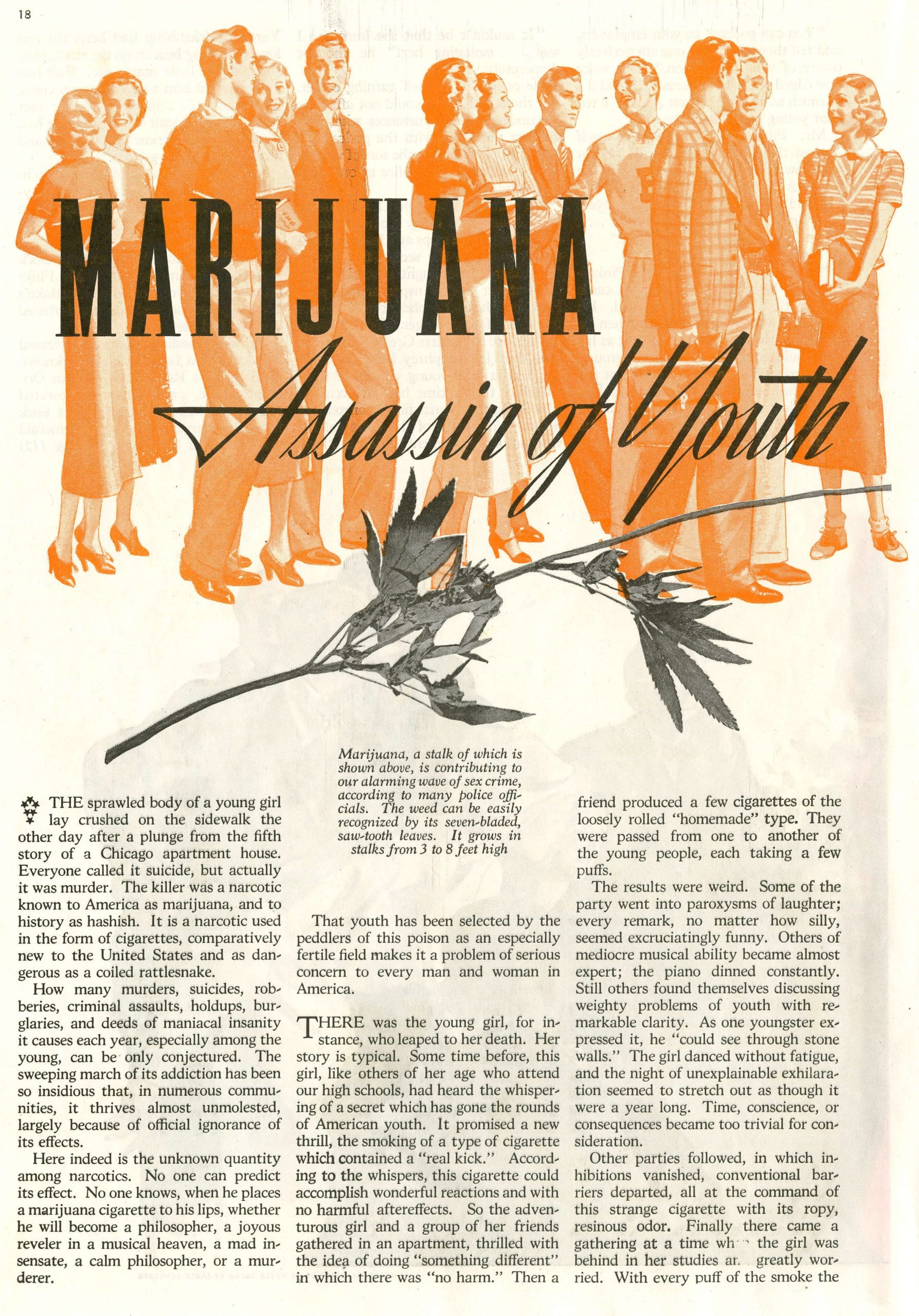 Reefer Madness Archives - Hash Marihuana & Hemp Museum
