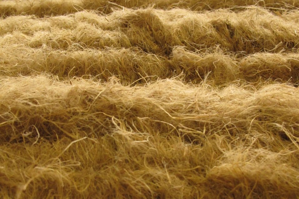 Cannabis Sativa - Hash Marihuana & Hemp Museum