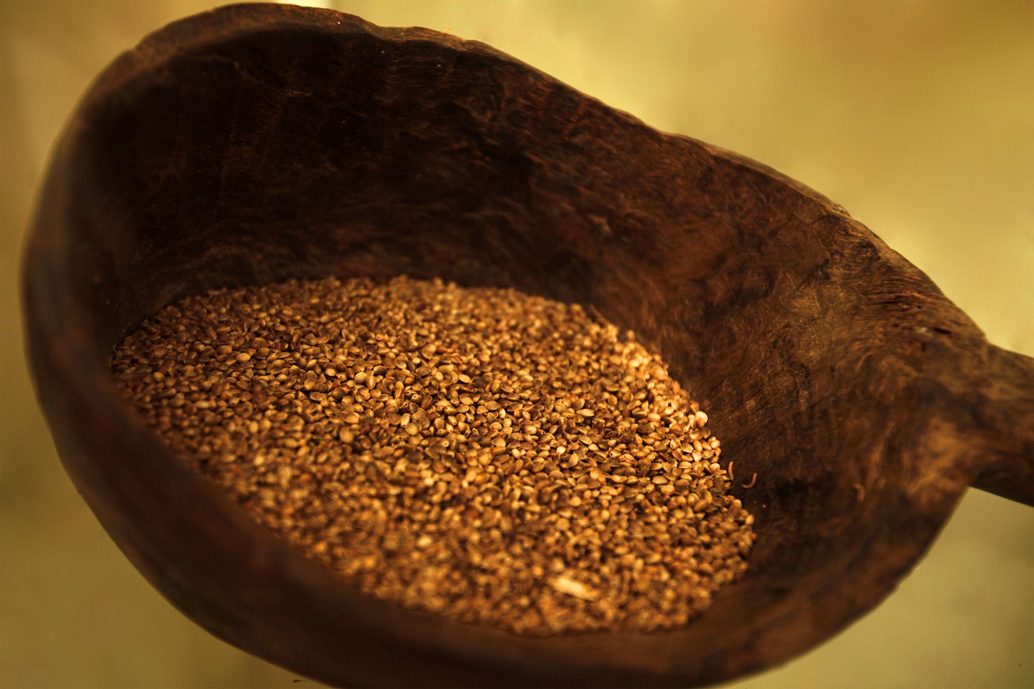 Hemp-based plastic - Hash Marihuana & Hemp Museum